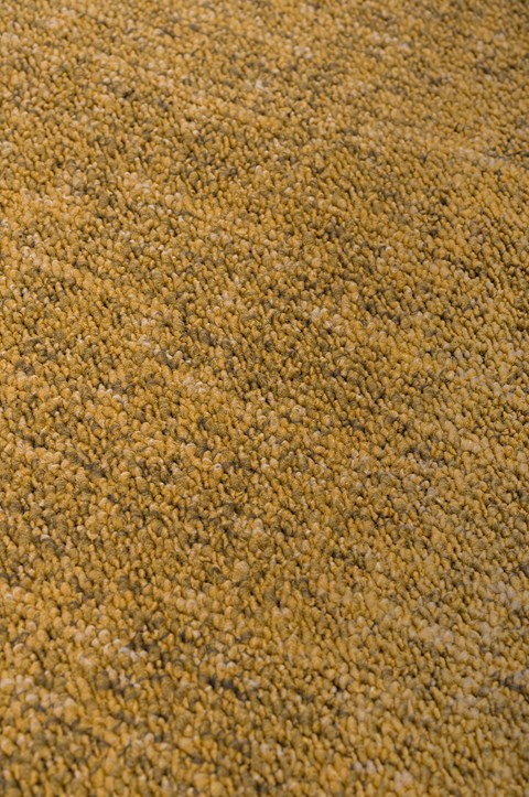 Mocheta Alto 9015 22 | BioKarpet